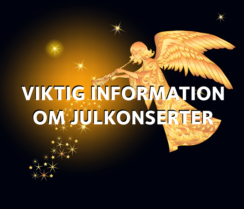 Biljetter Till Julkonserter Slut Höganäs Församling